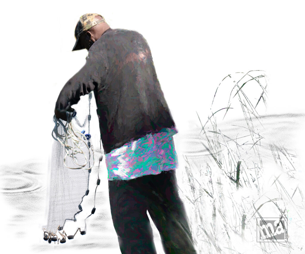 Lowcountry Fine Art Photography by Marge Agin