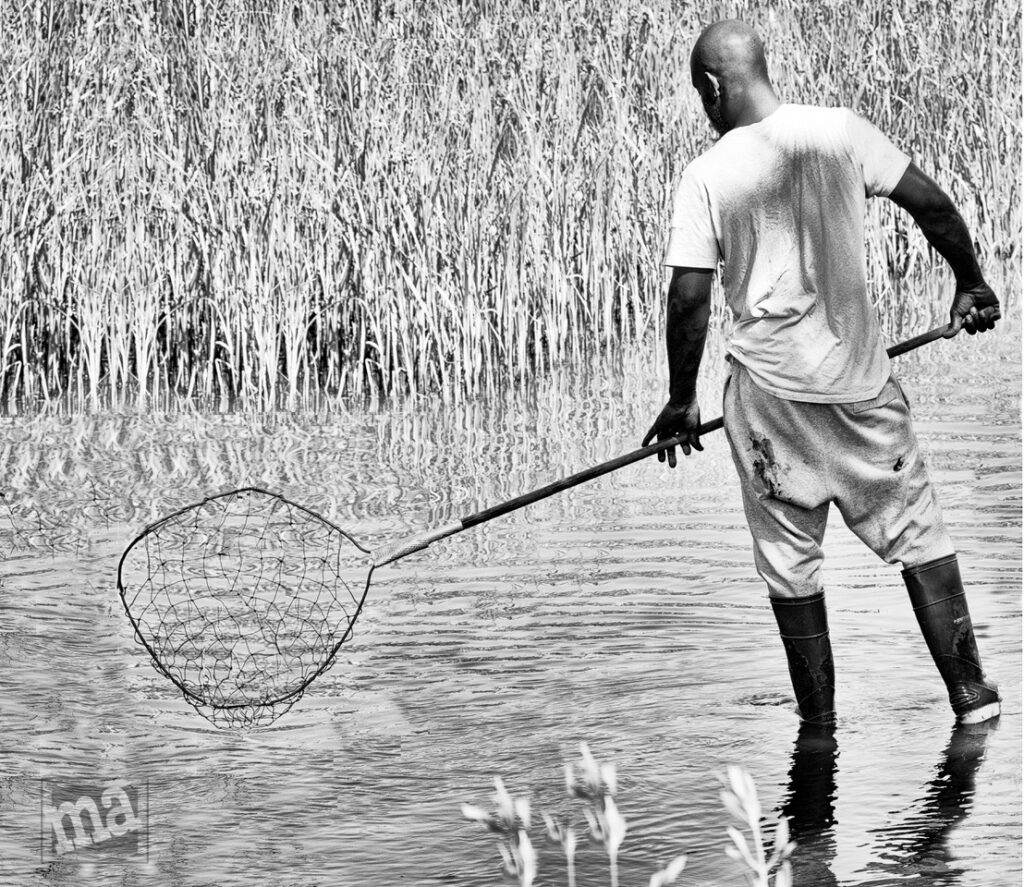 Marge Agin - Limited Edition Lowcountry Fine Art Photography