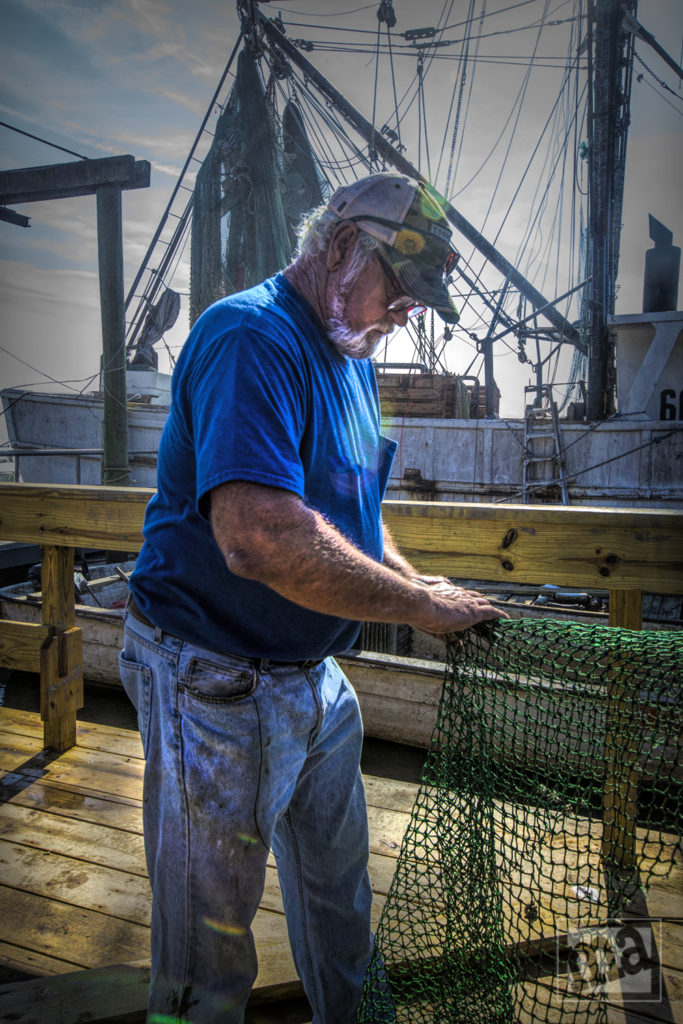 Lowcountry Fine Art Photography by Marge Agin