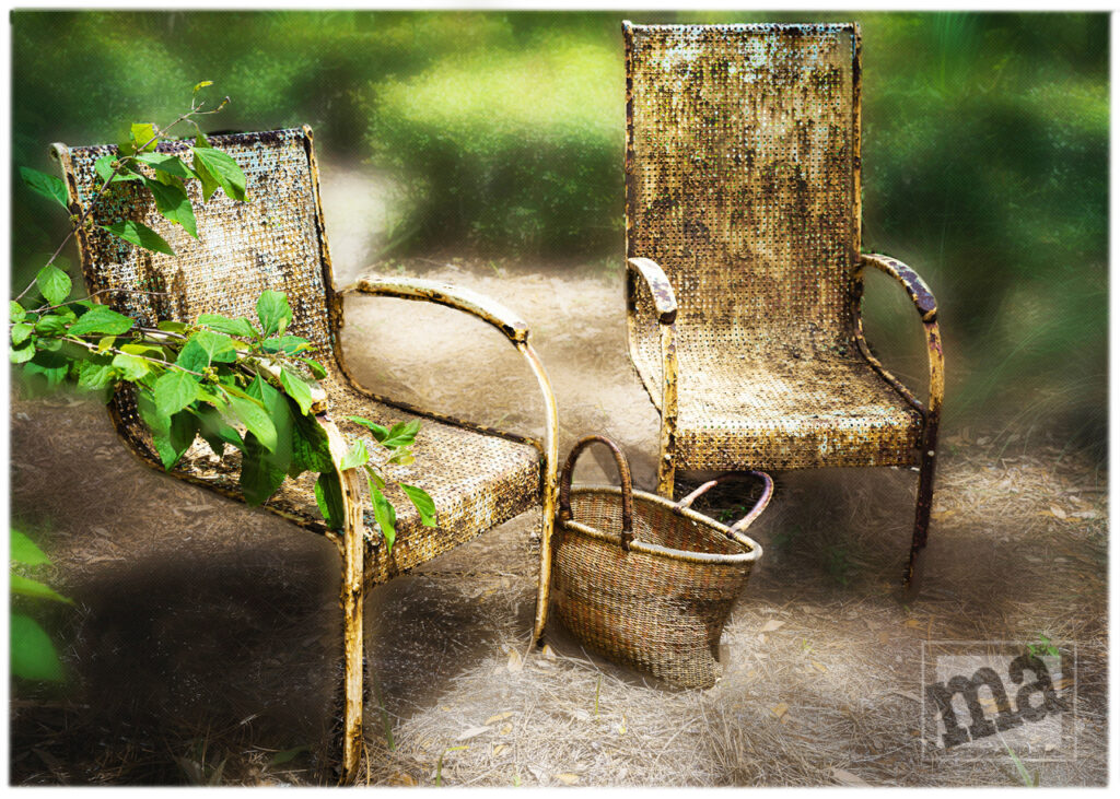 Lowcountry Fine Art Photography by Marge Agin