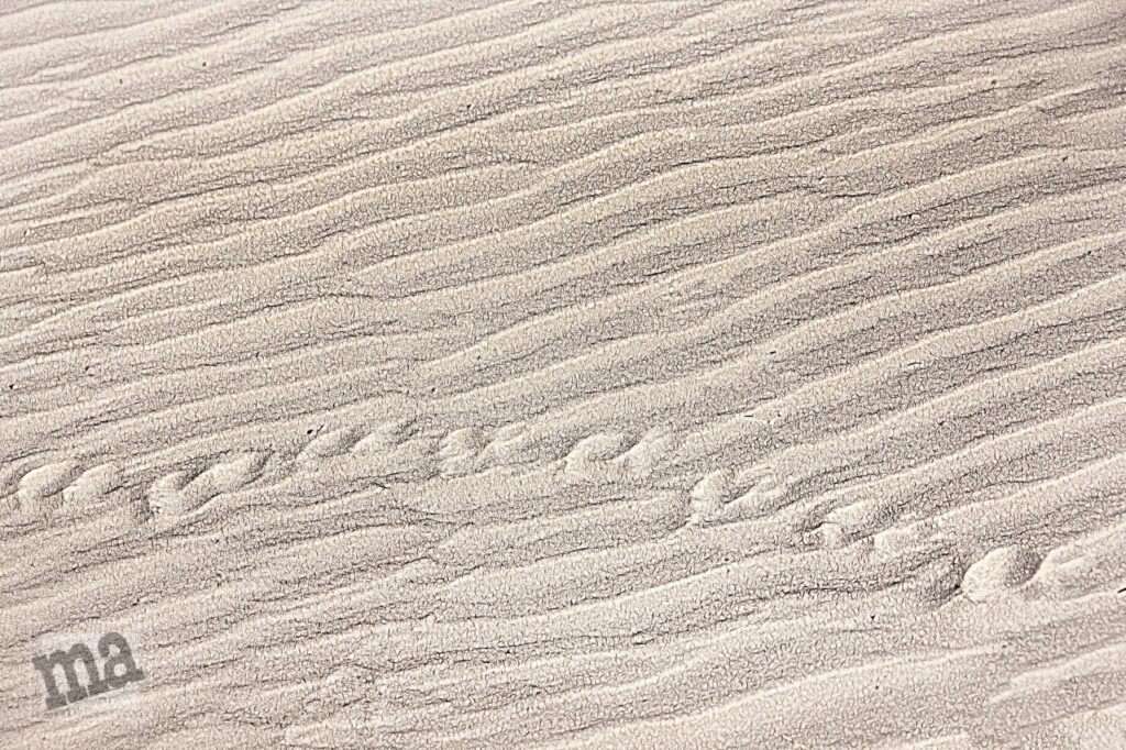 Lowcountry Fine Art Photography by Marge Agin