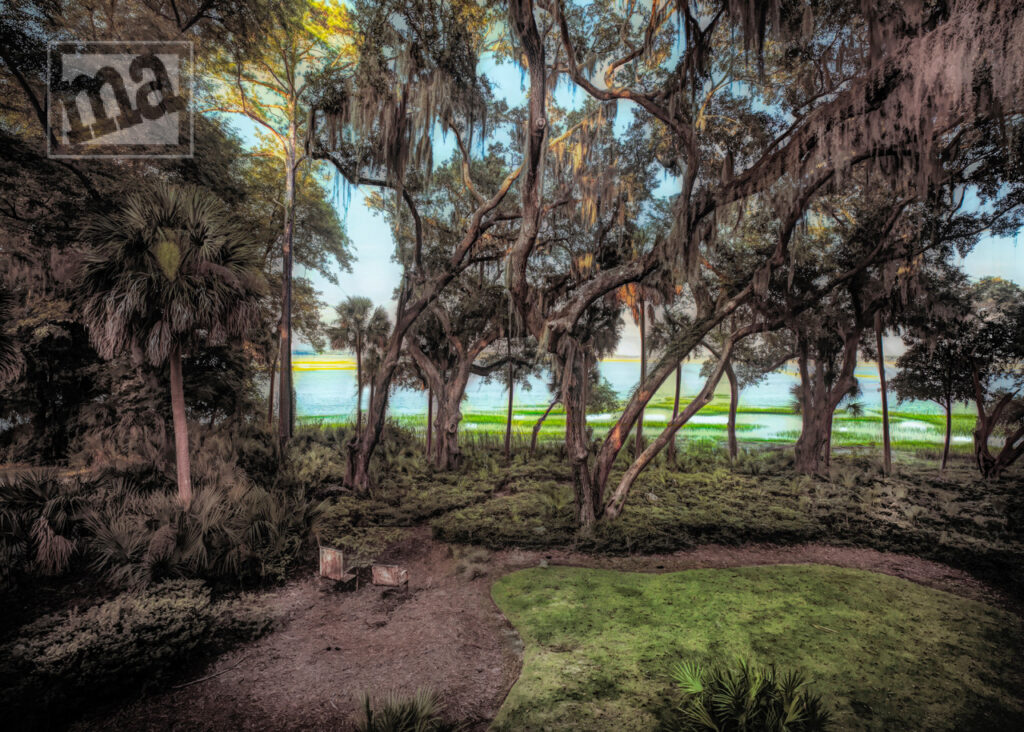 Lowcountry Fine Art Photography by Marge Agin